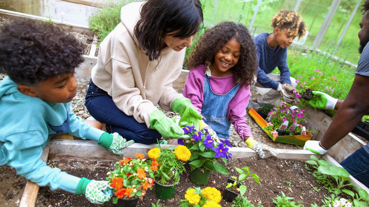 Growing Friendships: An Innovative Social Skills Lesson - Cranium Kids ...
