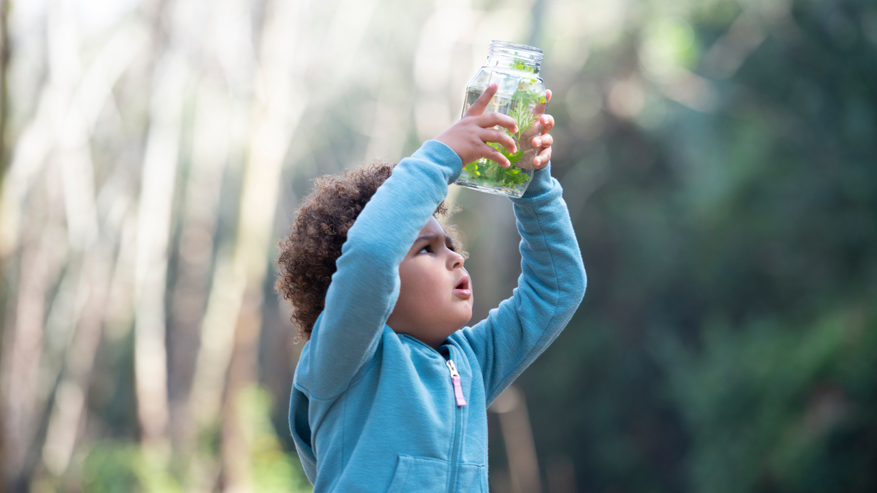 Exploring the Great Outdoors: 5 Benefits for Children - Cranium Kids Media